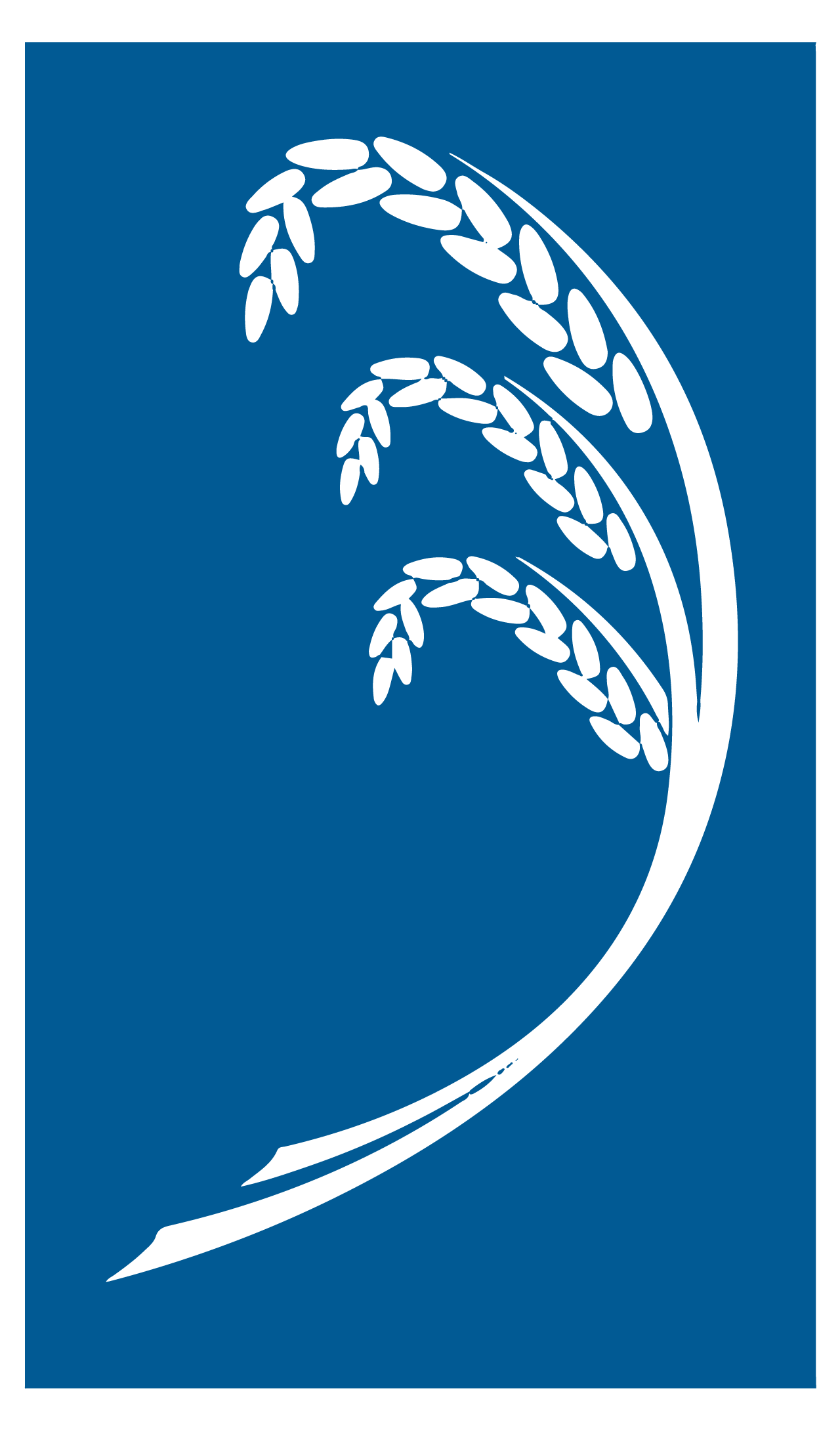 Inicio - Escuela de Estudios Superiores de Jojutla UAEM