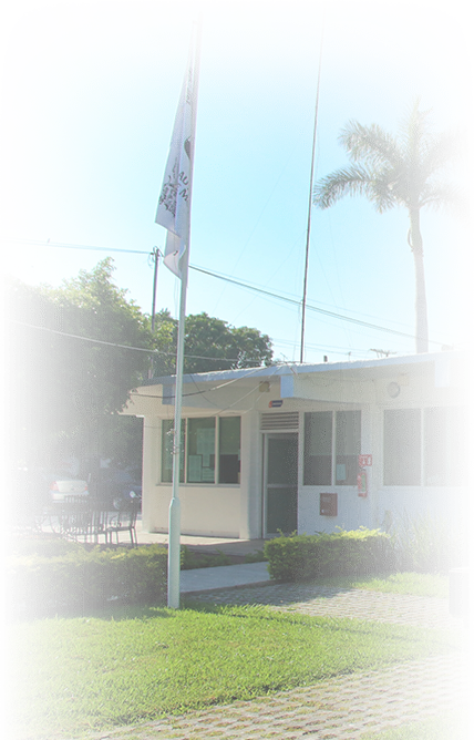 Inicio - Escuela de Estudios Superiores de Jojutla UAEM